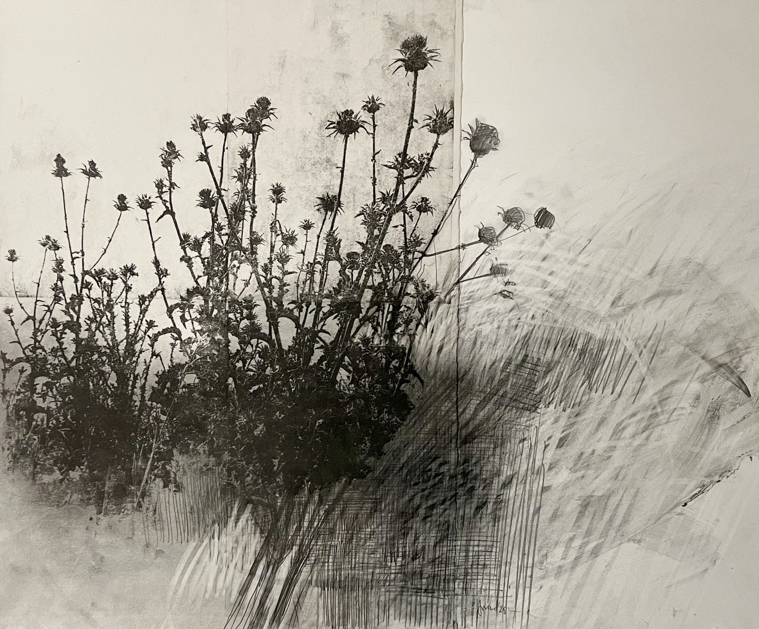 Paper Lithography: Marks, Surfaces, and Stories