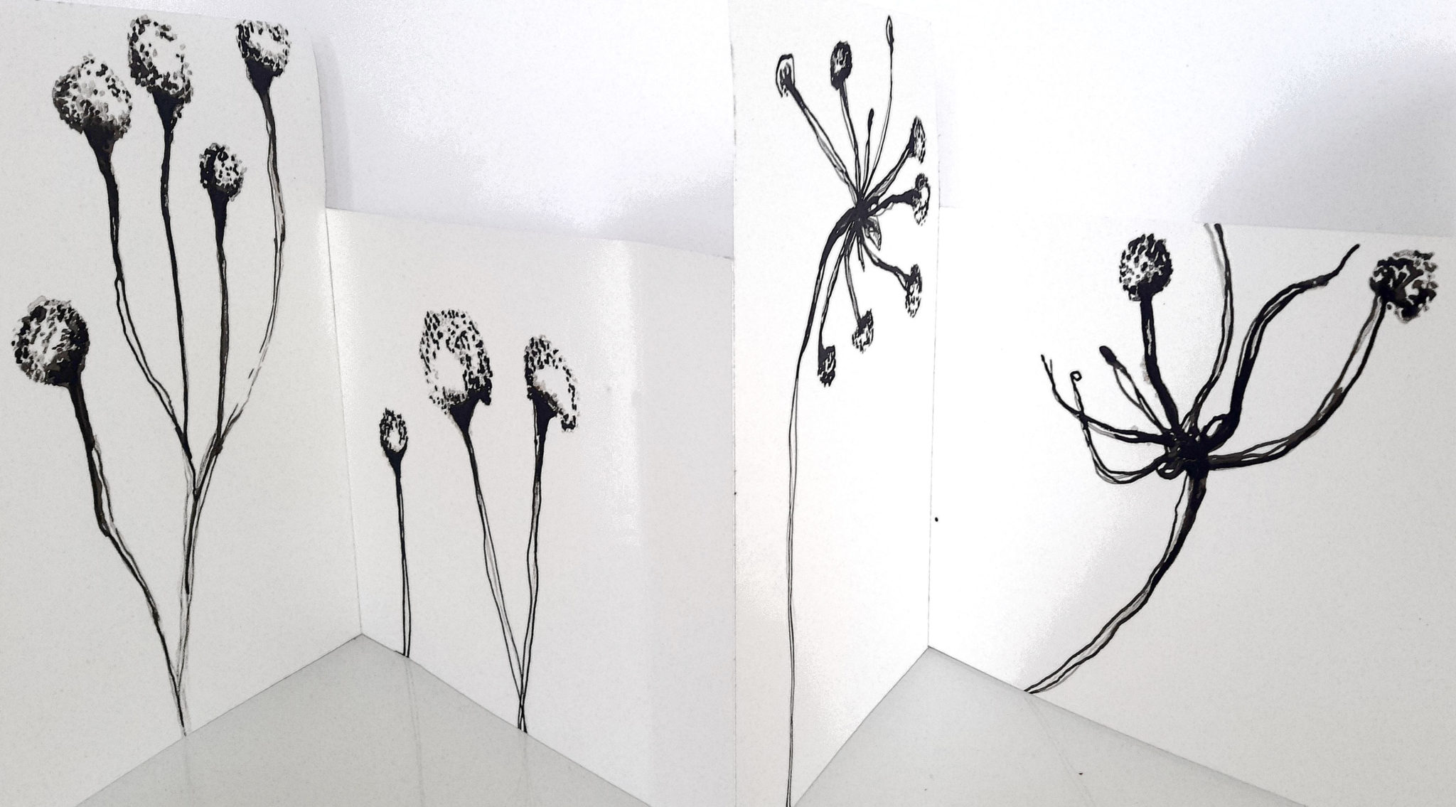Liz Luckwell